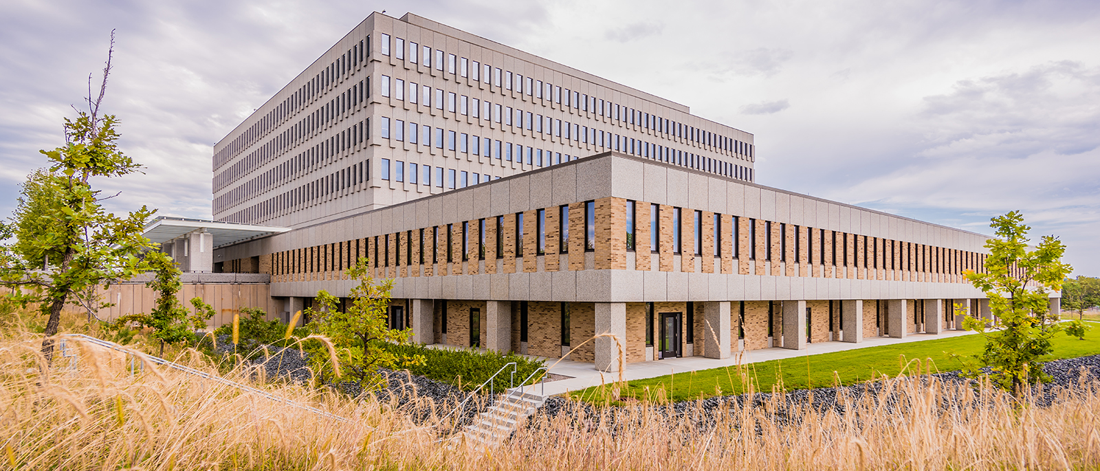 Sebesta is now NV5 - NV5